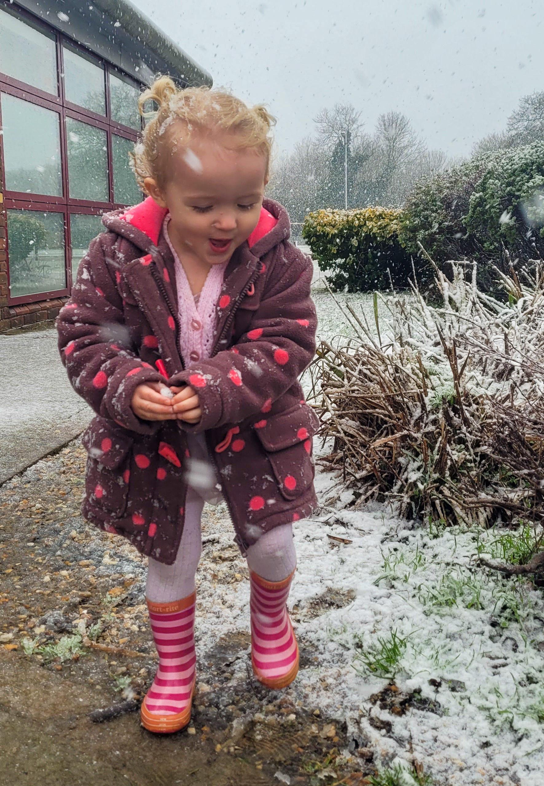 Posie Baby Ballet - RocknRollerBaby